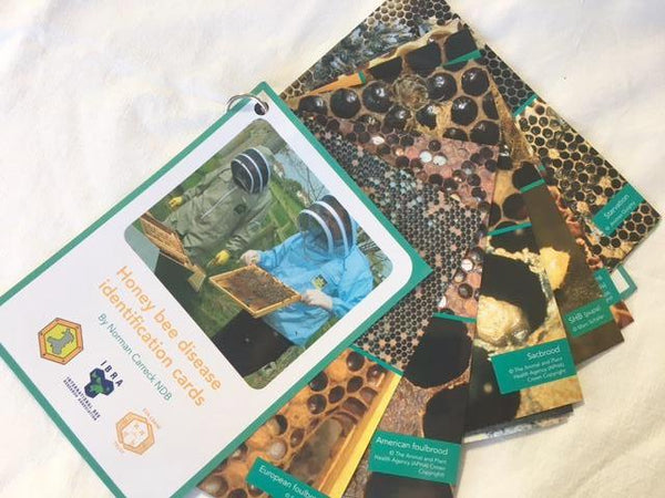 Pocket Honey Bee Disease Identification Cards – Bec's BeeHive Supplies